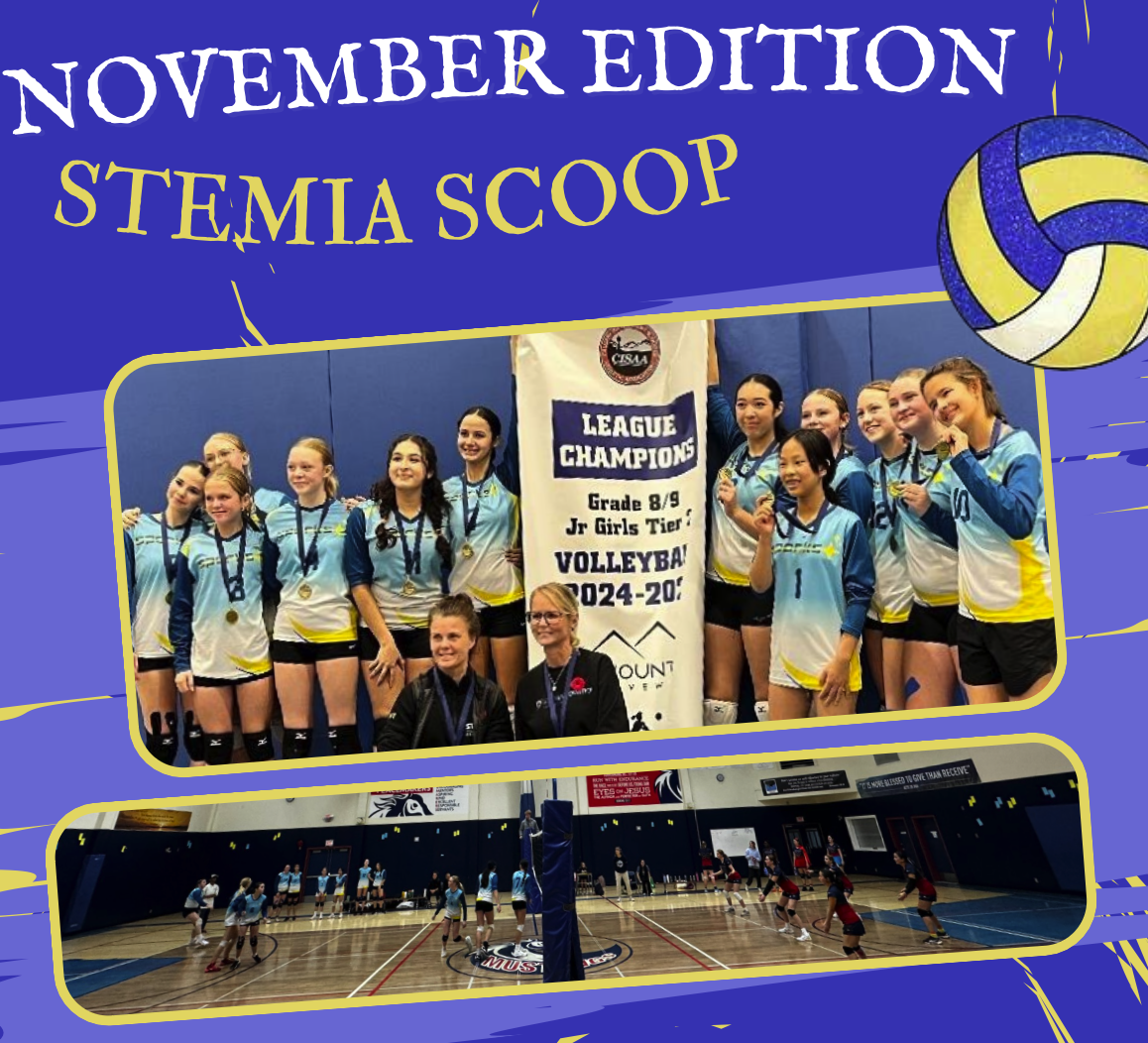 STEMIA Scoop November Edition – STEMIA Journal
